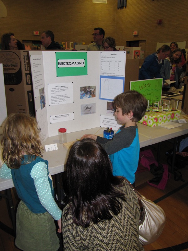 Itinerant Oak - A Family Journey: Science Fair: Nik's Electromagnetism ...