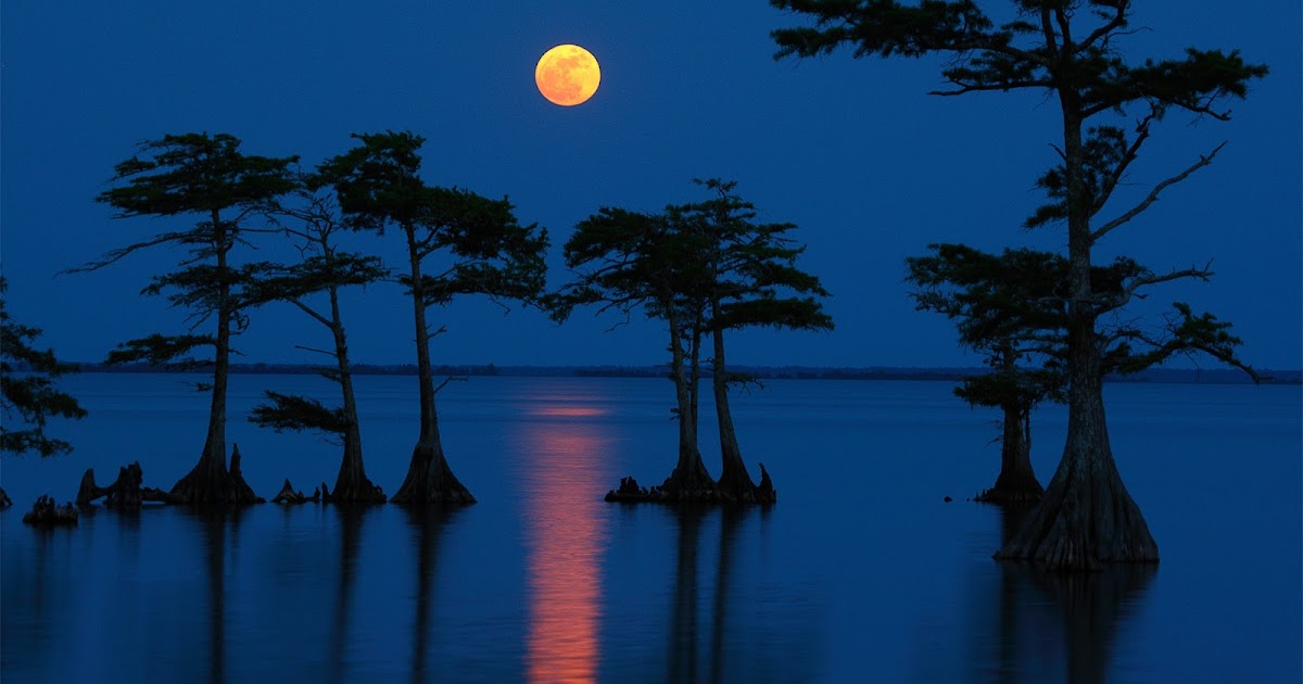 The Moon seen over Lake Mattamuskeet | Earth Blog