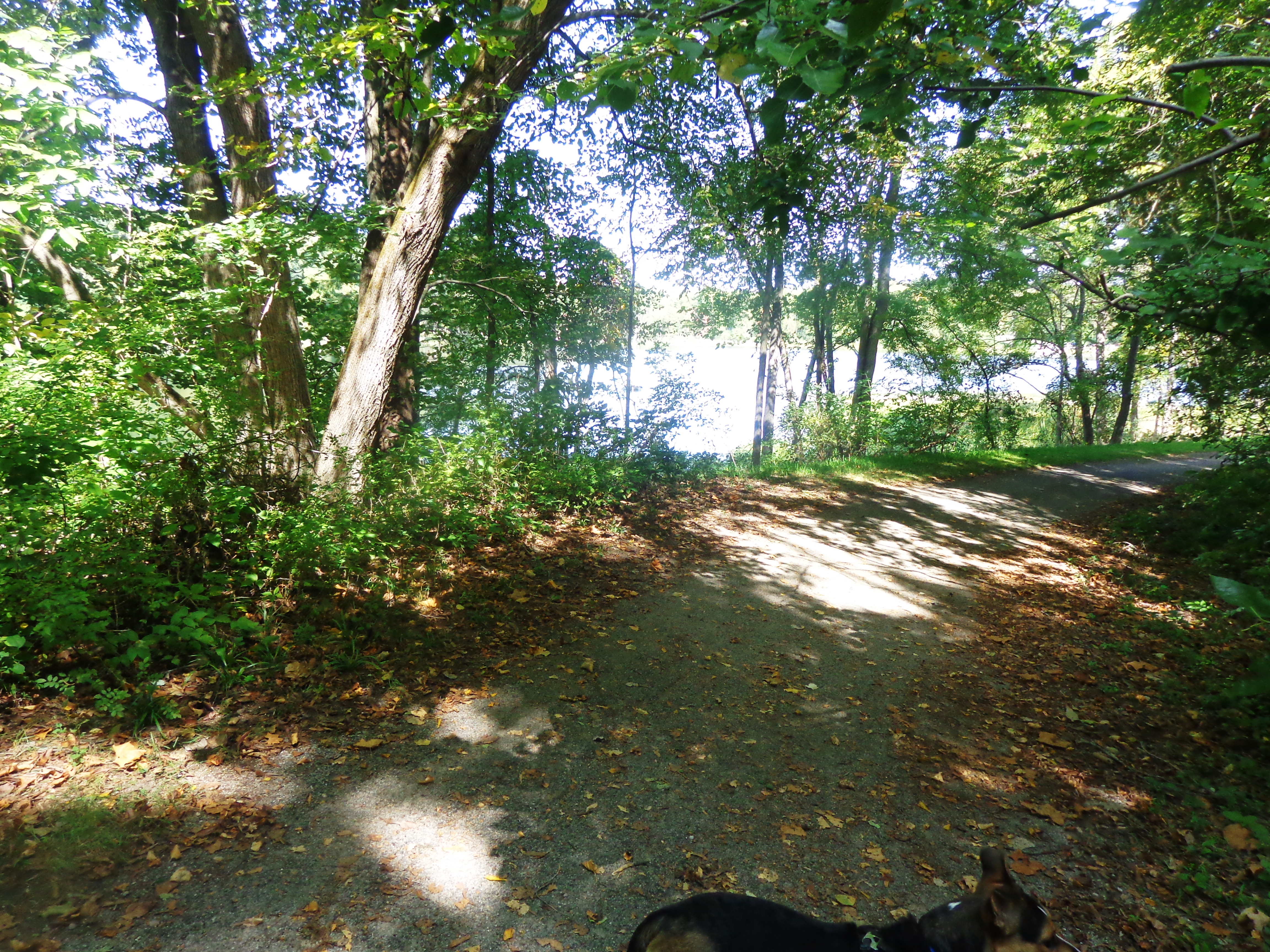 Tilting at Windmills: Misty's first Happy Boofus Day, and the perils of ...