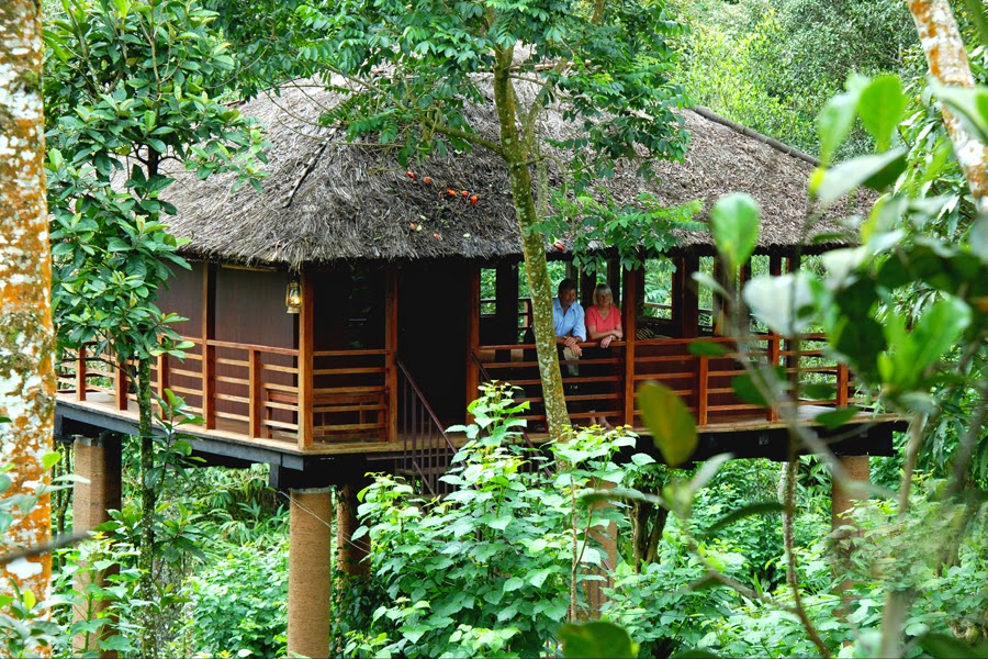 Kerala Tourism: Tree Houses in Kerala Forests
