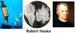 7.Sınıf Hücrenin Tarihsel Gelişimi - fenbilim.net