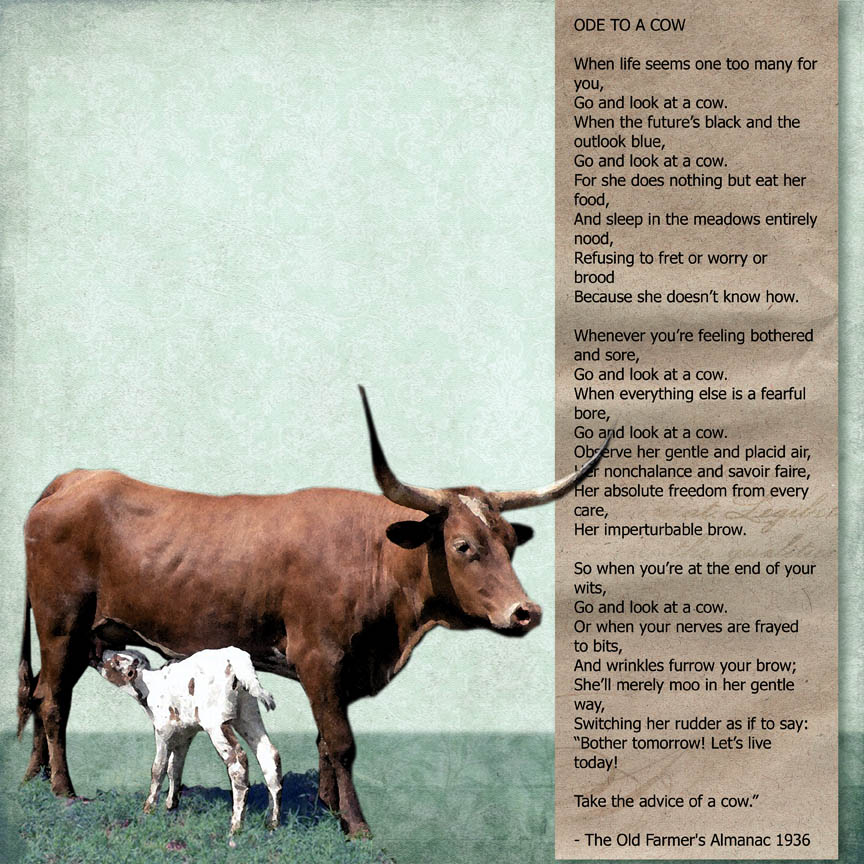 retrodesigning: Advice From A Cow