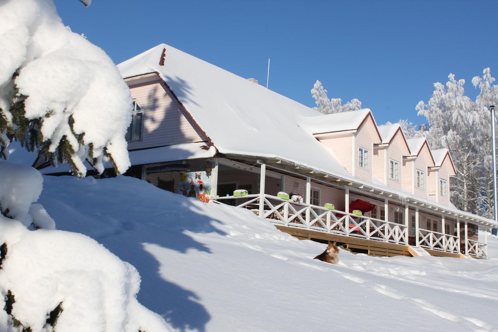 Vaskna Turismitalu: Imeilus Haanjamaa talv.