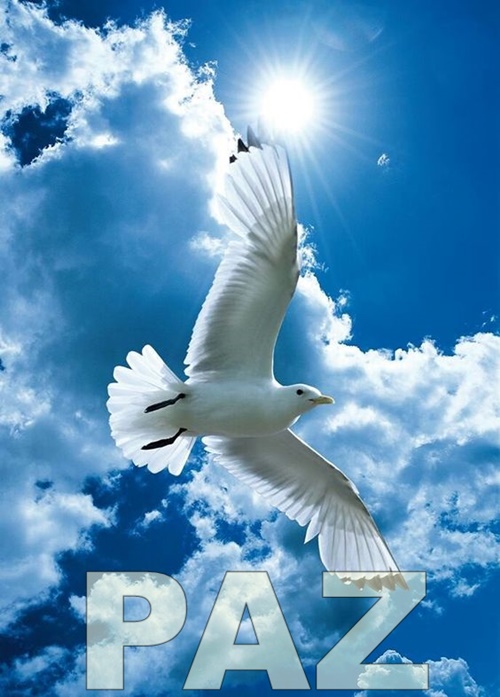 Comunicando para refletir: A PAZ VEM DE DENTRO DE VOCÊ. NÃO A PROCURE À ...