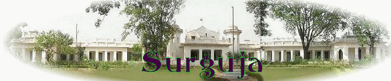 SURGUJA DISTRICT