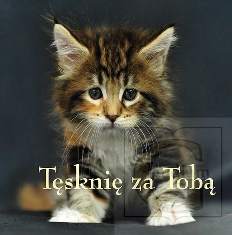 DLA KAŻDEGO: TĘSKNIĘ