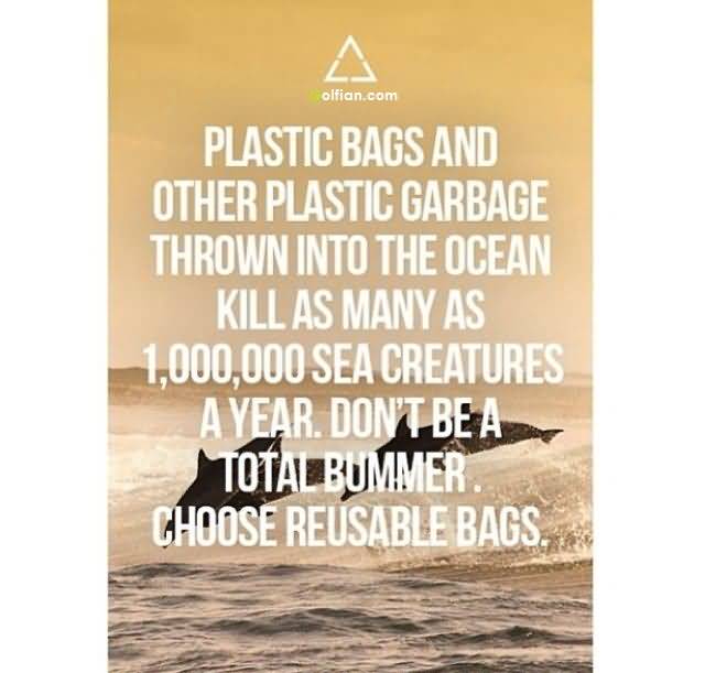 advantages and disadvantages of plastic bags