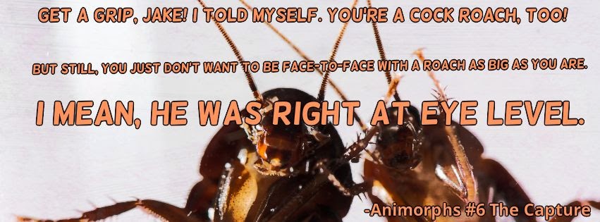 jashykins: Animorphs Re-Read: #6 The Capture (Chapters 1-4)