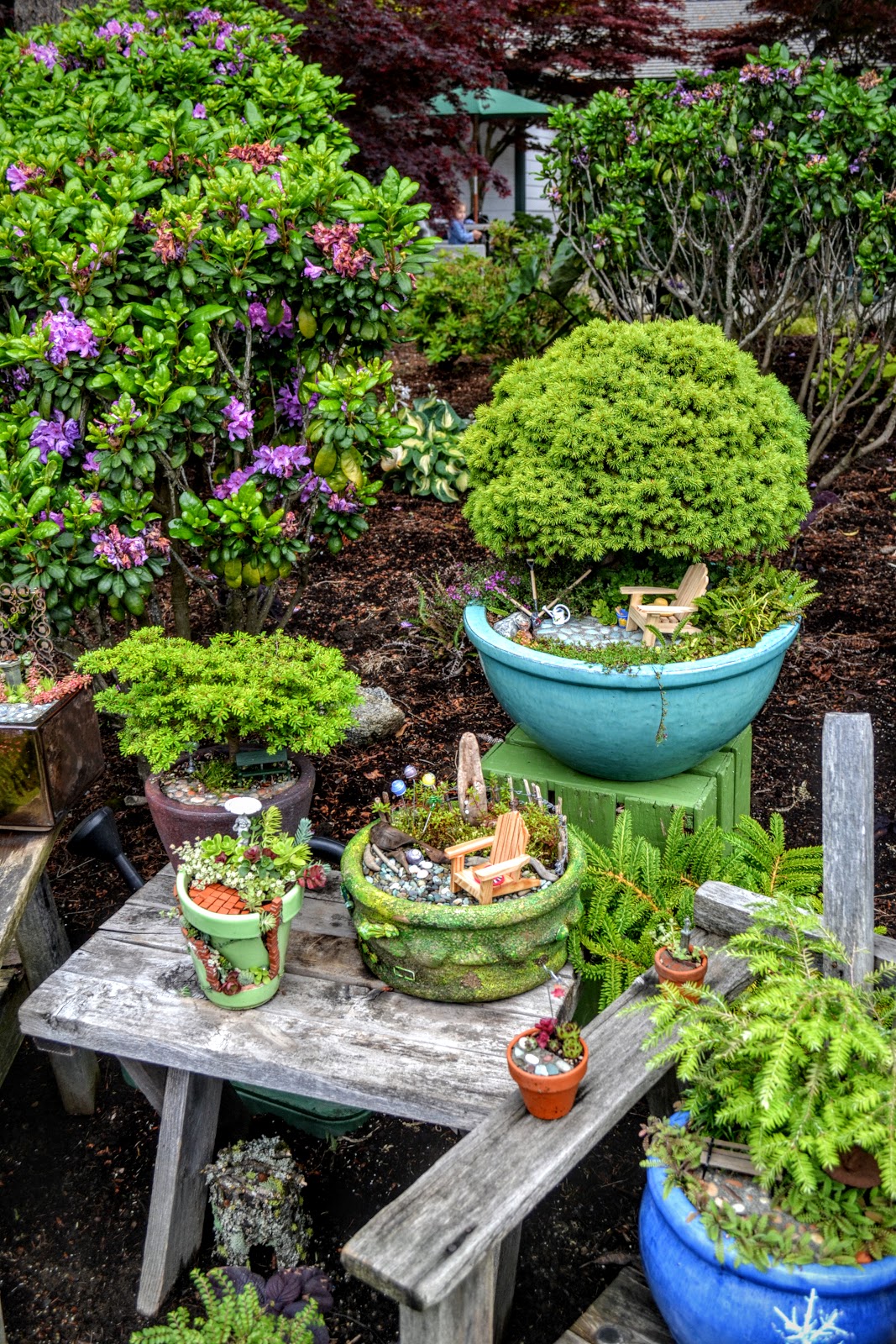 The Outlaw Gardener: Miniatures