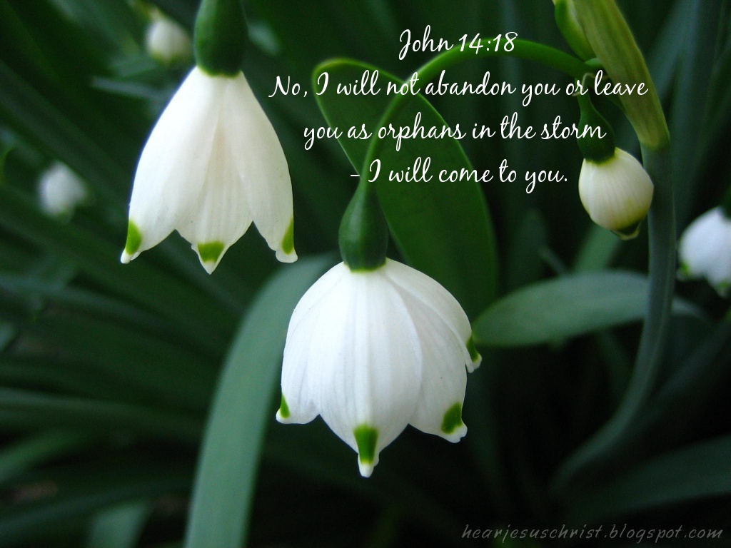 Christian Wallpapers Bible Verse Wallpaper John 14 18 Christian Wallpapers Bible Verse Wallpaper John 14 18
