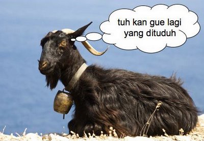 Kebo, Kambing Hitam dan Sapi Perah | ZILZAAL