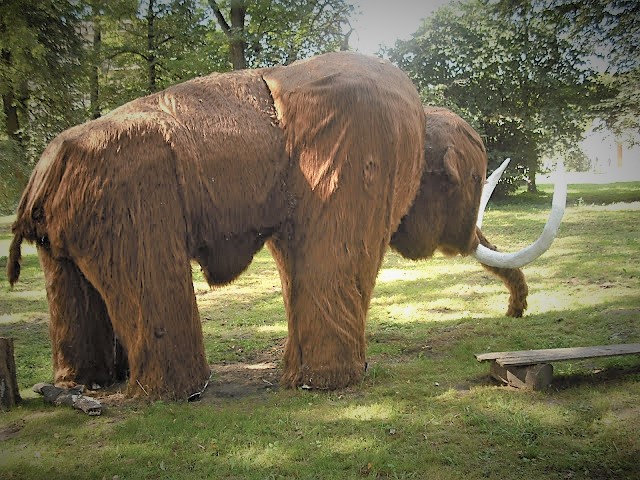 WWW Wiersze Wycieczki Wspomnienia: Mamut w Muzeum Archeologicznym w ...