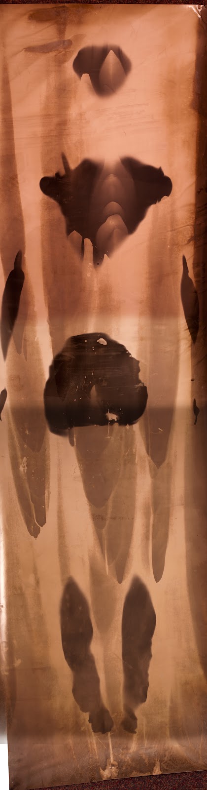 Harry Scott Photography: The Commission