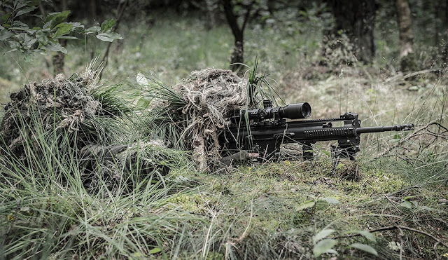 desarrollo defensa y tecnologia belica: Las Fuerzas Armadas francesas ...