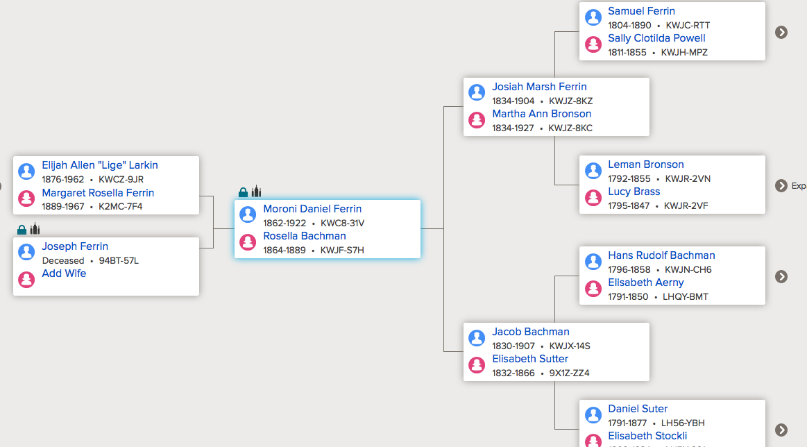 GatheringGardiners: Moroni Daniel Ferrin 1862 - 1922