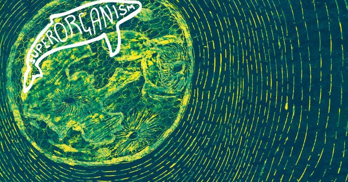 Vivonzeureux!: SUPERORGANISM : Superorganism