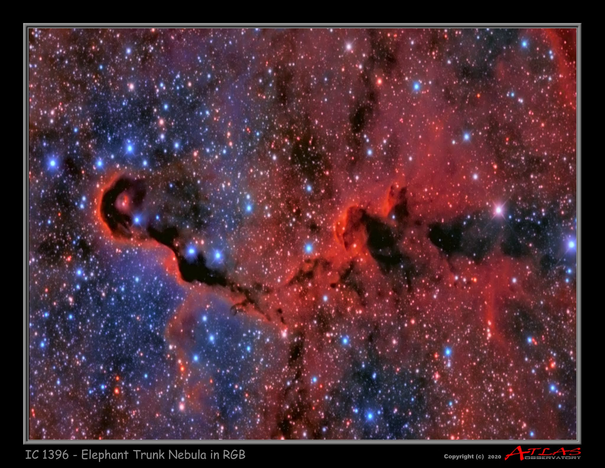 ATLAS OBSERVATORY : IC 1396 - Elephant Trunk Nebula
