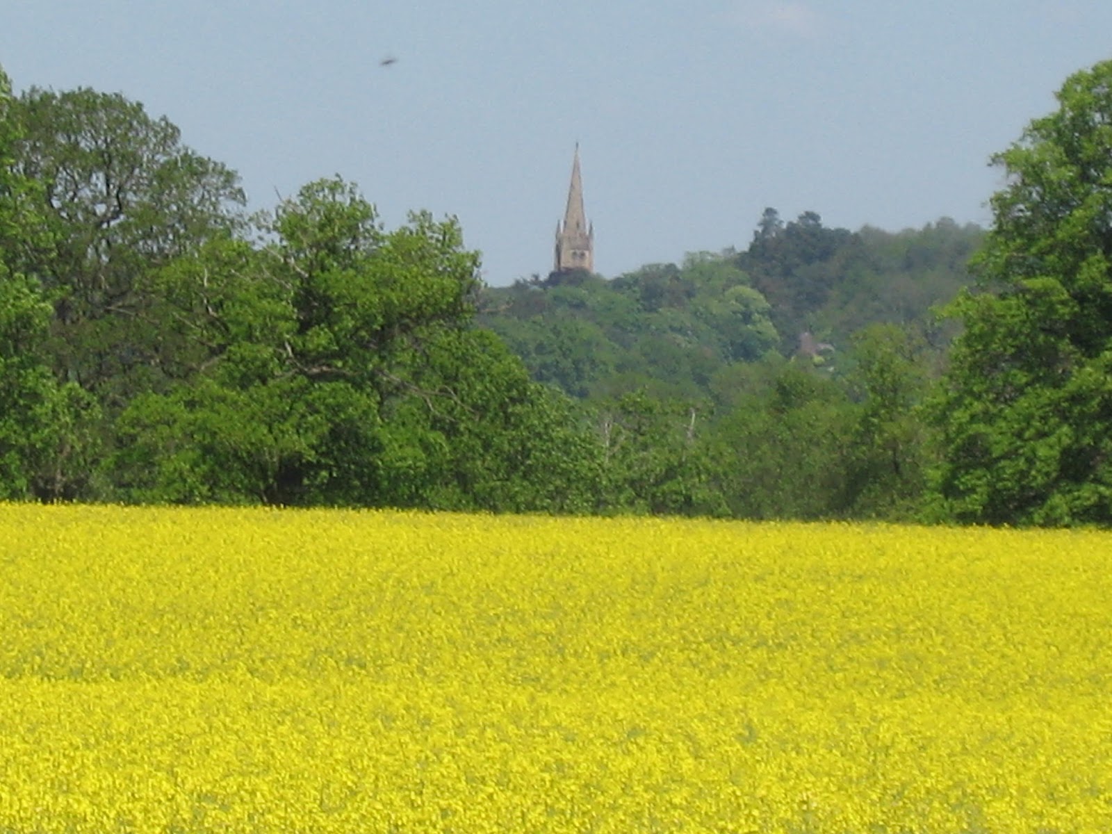 Discombobulated Del: Heat