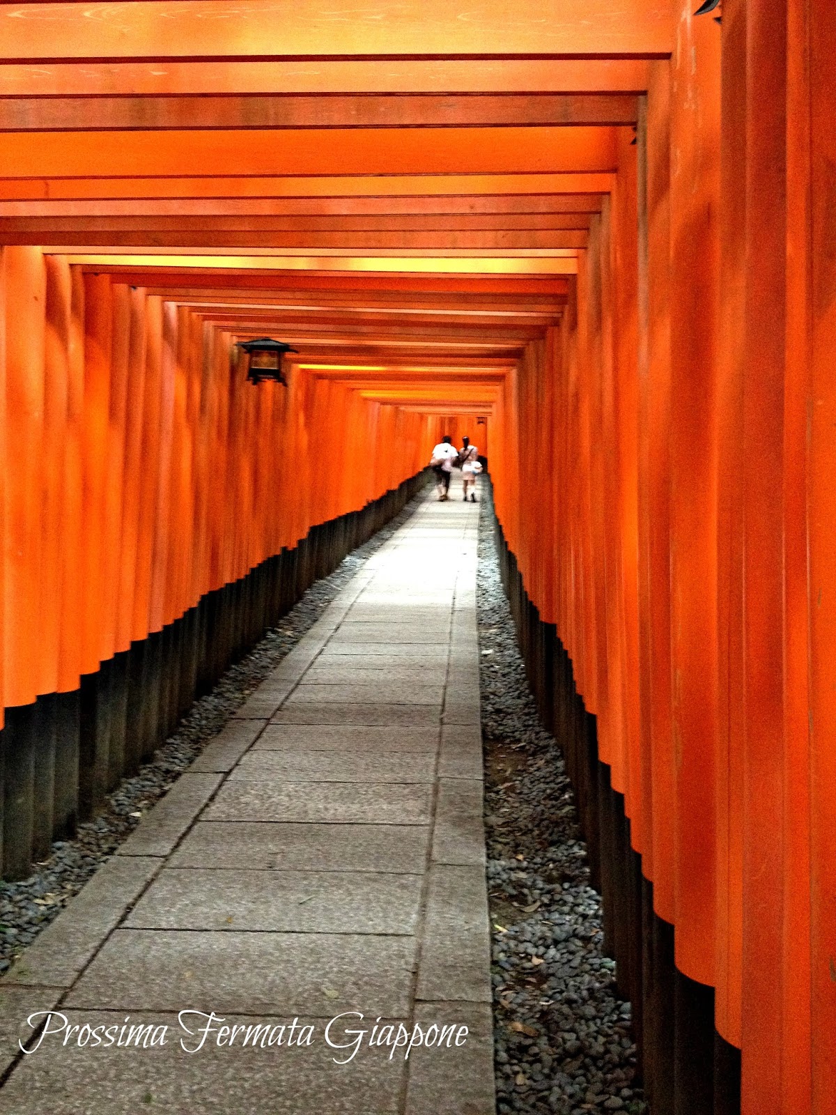 Kyoto parte 3.1 ~ Fushimi Inari, Pontocho e Sanjusangendo … luoghi che ...