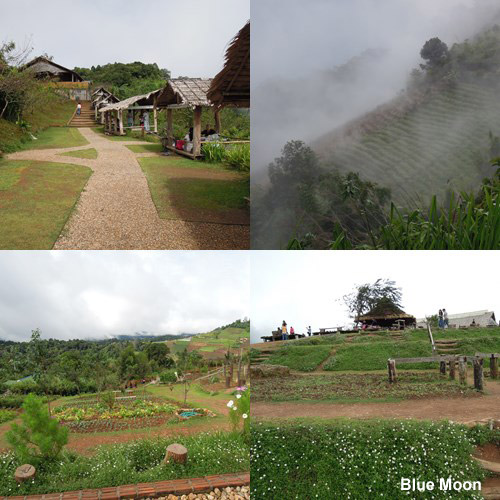 Mon Jam (Mon Cham), Mae Rim - Chiang Mai, Thailand