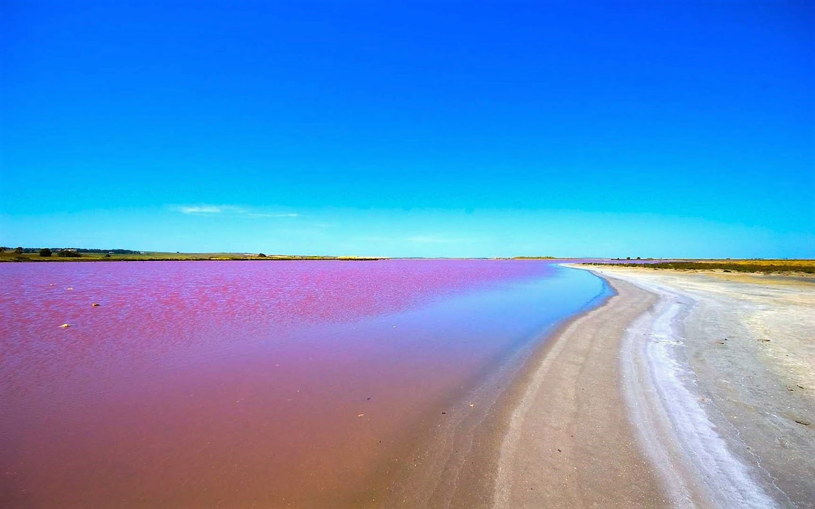 Fieggentrio: Lake Retba (Senegal)