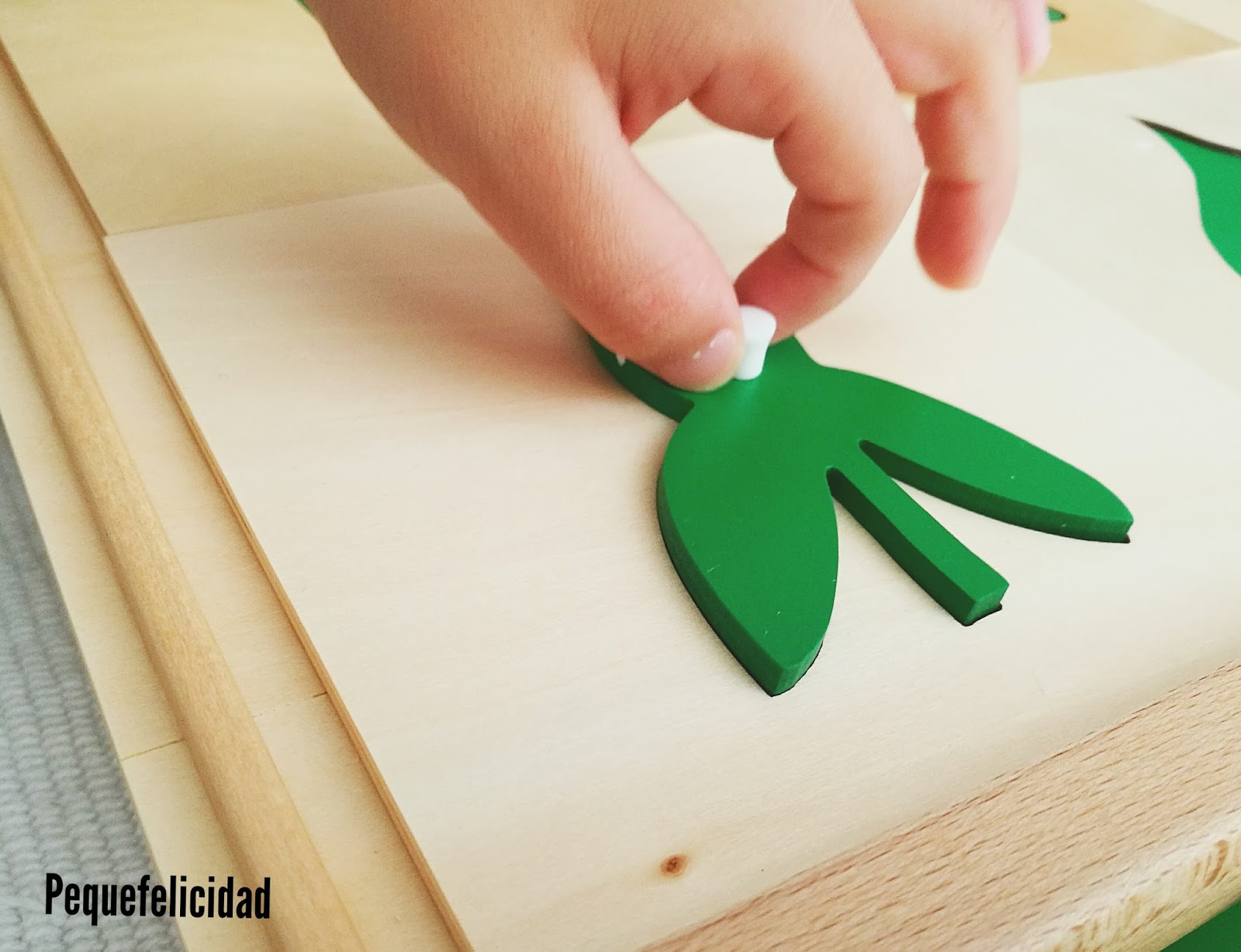 PEQUEfelicidad: GABINETE DE BOTÁNICA MONTESSORI