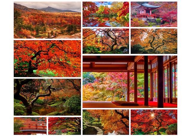 Autumn in Japan Windows Theme - EdriveOnline