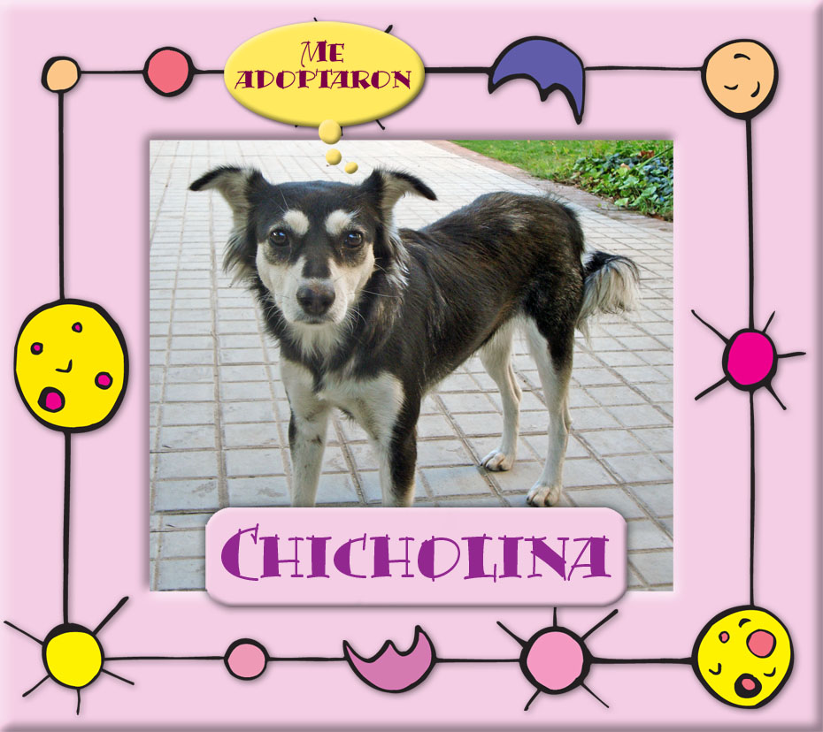 Adopciones en Flores Sur: Chicholina - ADOPTADA!!