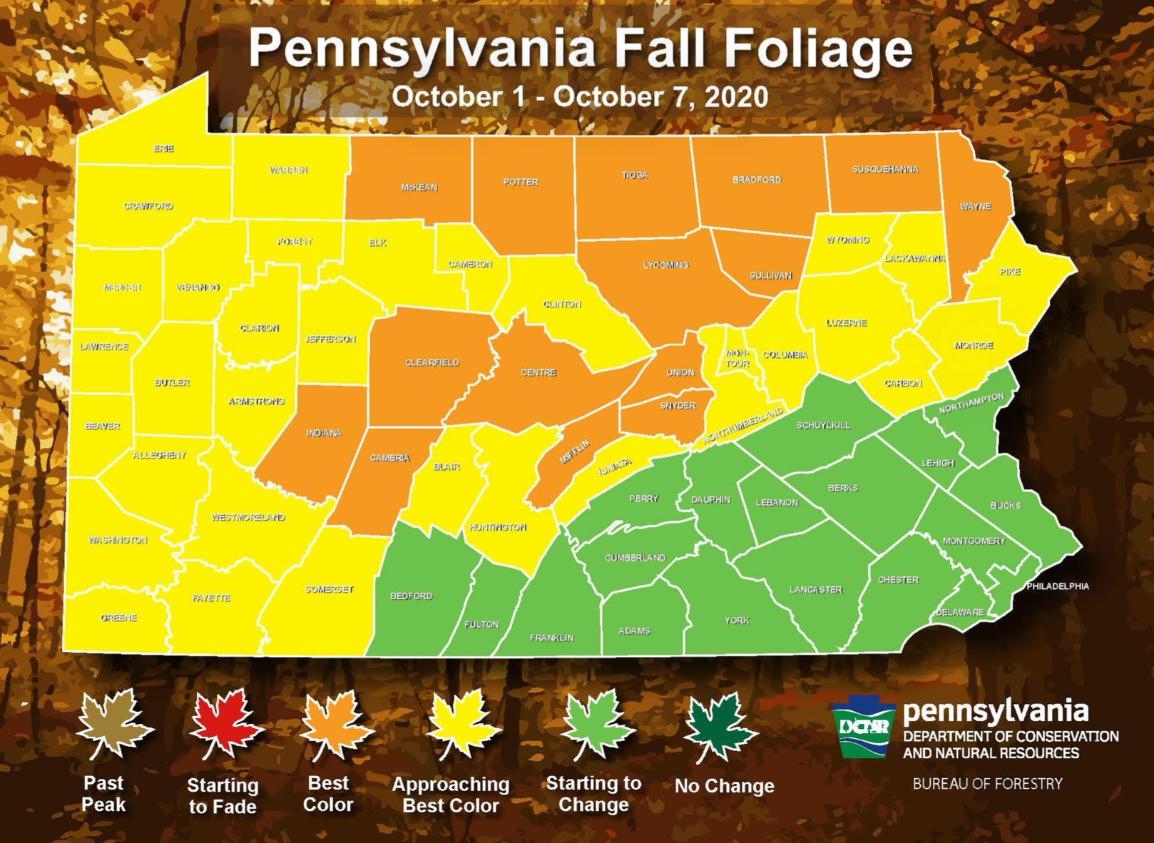 PA Environment Digest Blog: DCNR 2nd Fall Foliage Report: 15 Counties ...