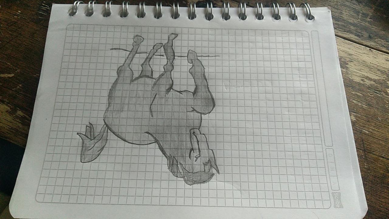 dibujo invertido