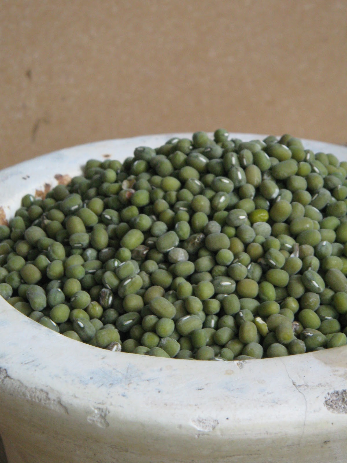 bucaio: Balatong, Agor, Impabasik