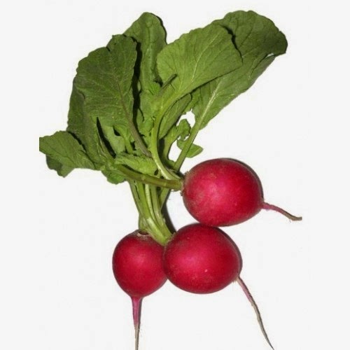 Rimpang (Rhizoma) Umbi (Tuber) dan Umbi Lapis (Bulbus) ~ MUNAWI INSIDE