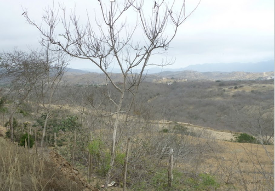 NephiCode: Where Were the Jaredite Lands and the Land Northward?