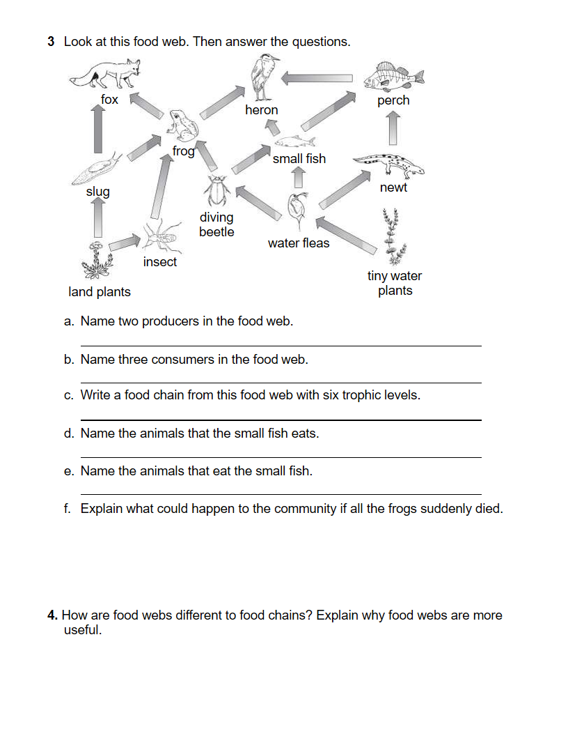 Grade 10: DISTANCE LEARNING