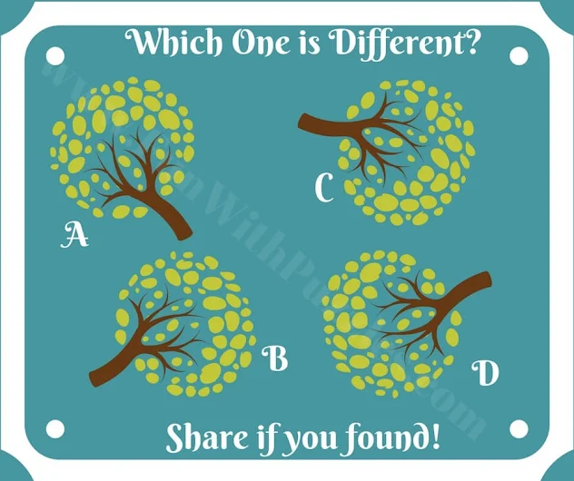 Picture Puzzles for Genius Minds with Answers