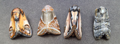 Hachiware Art: Hello 2021