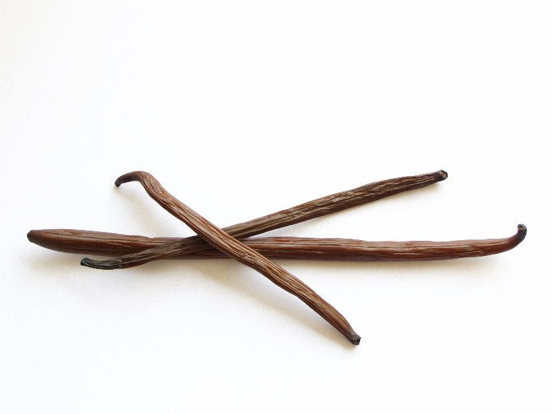 French Vocabulary Illustrated: gousse