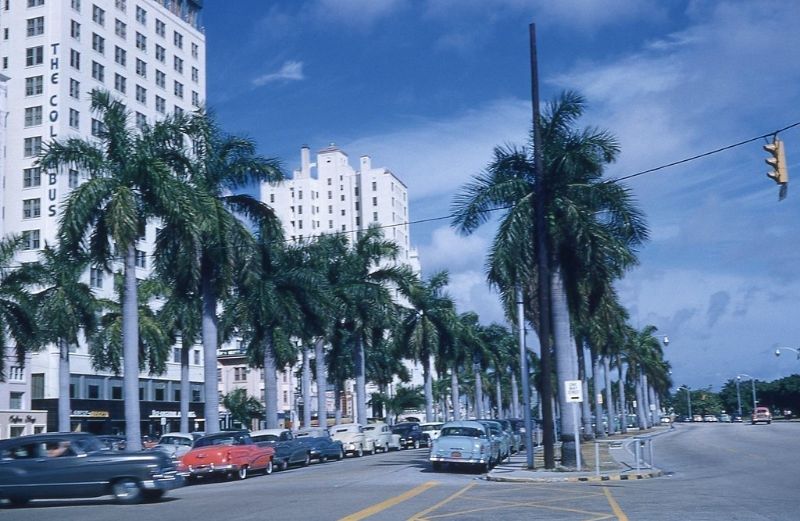 40 Fascinating Color Photos Capture Street Scenes of Miami & Miami ...