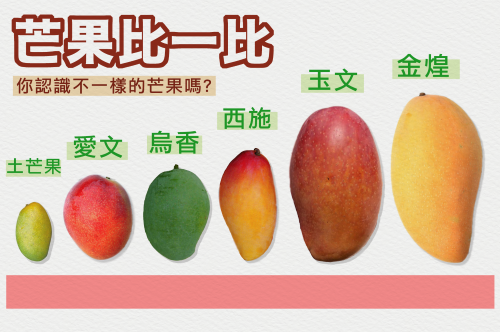 [食記] 在家的自助台灣芒果饗宴 - Taiwanese Mango Tasting at Home | Alan's Life and Travel