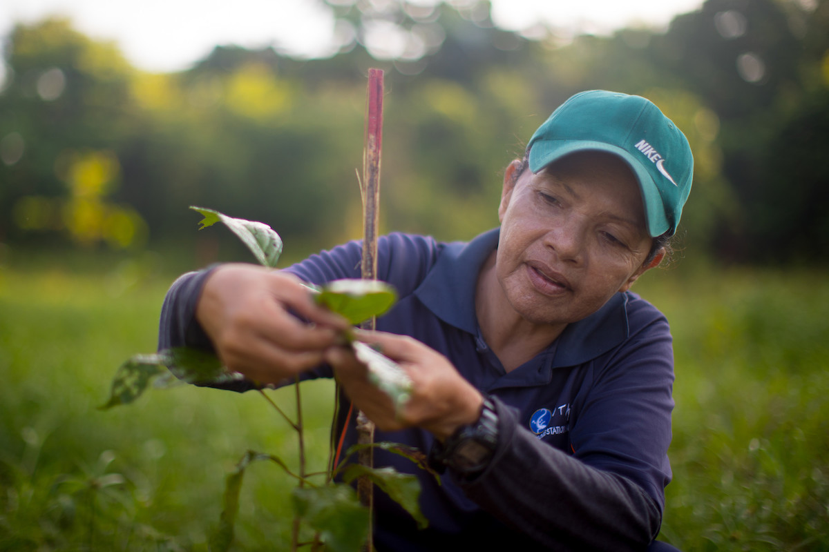 Where Hope Takes Root