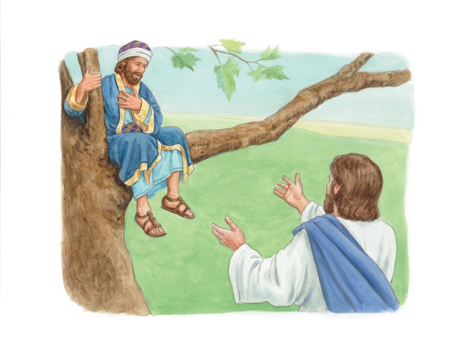Cuna | Lección 2: Zaqueo sube a un árbol | 1er Trimestre 2023 | Año B ...