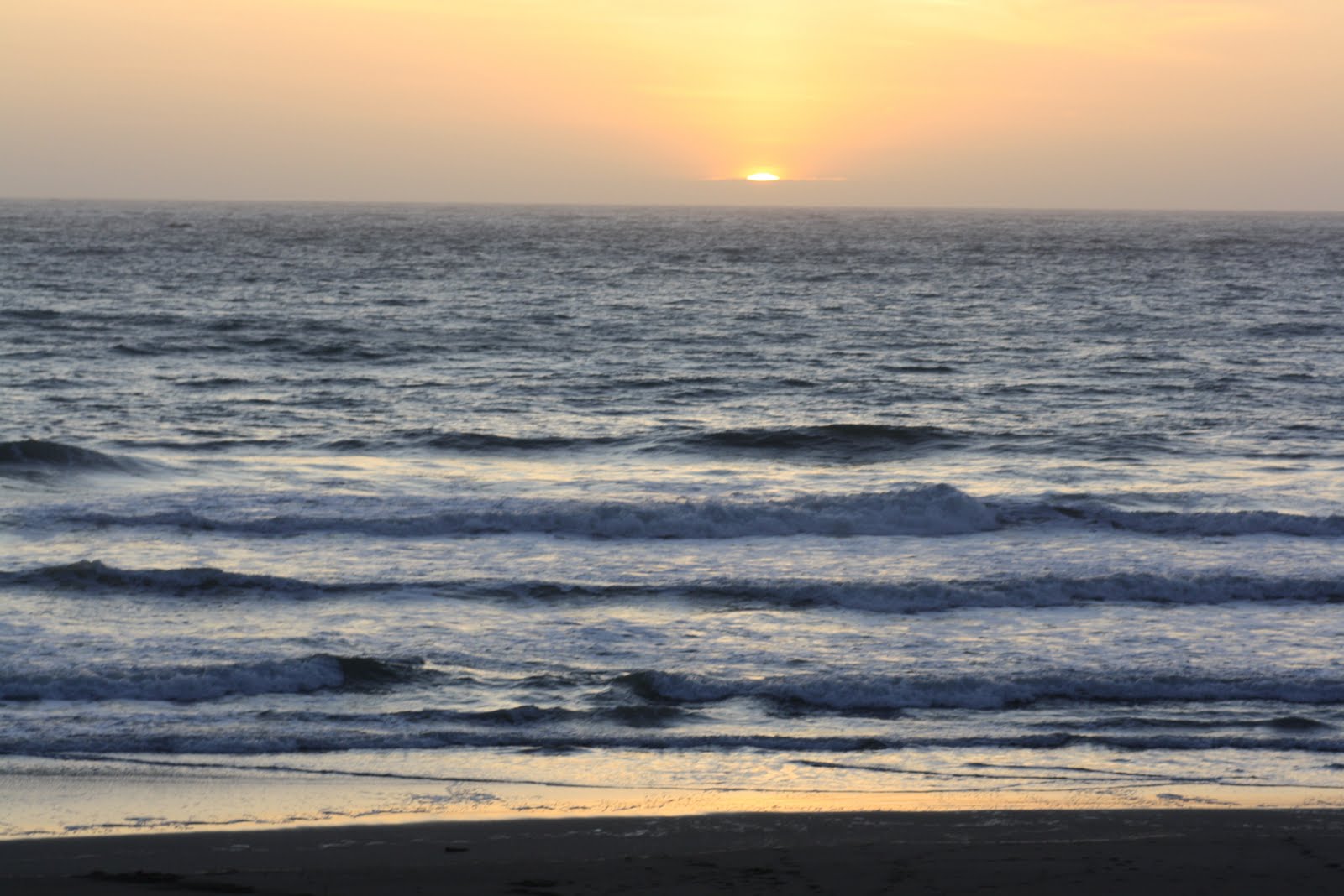 ozma of odds: ...sea ruffles