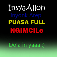 Kimcil - SHARE HOLIC