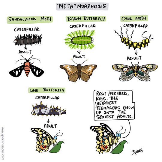 Green Humour: Metamorphosis