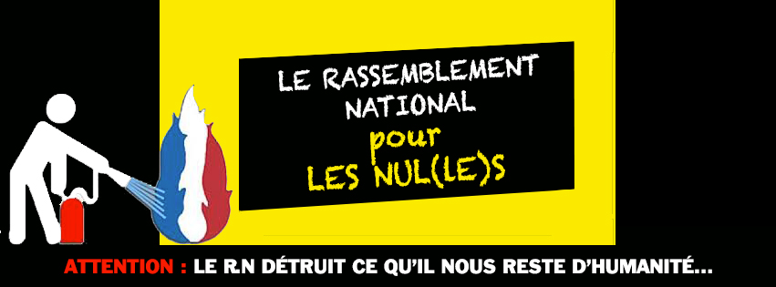Le rassemblement national pour les nuls: Comparatif des programmes
