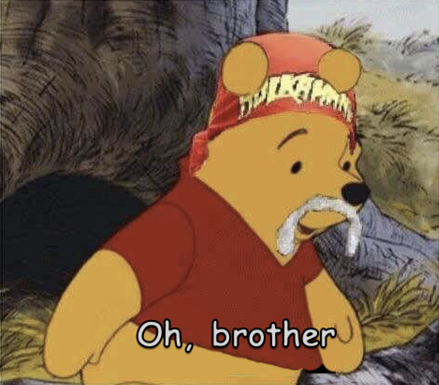 Skip's House of Chaos: Hulk the Pooh