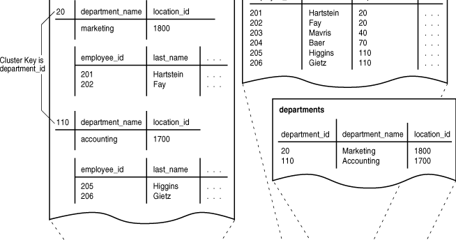 Types of B-tree indexes(Cluster Indexes) in Oracle11g
