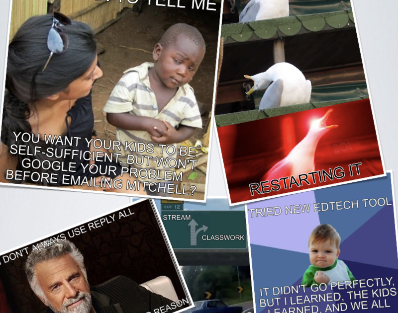 The Squatter vol.11 - What do you Meme?