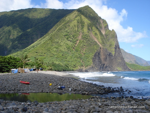 Latitude Options: Wailau Valley Secrets, Molokai, Hawaii