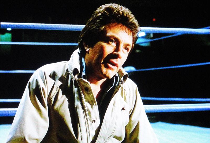 MUSINGS OF A SCI-FI FANATIC: The Incredible Hulk S1 Ep3: Final Round